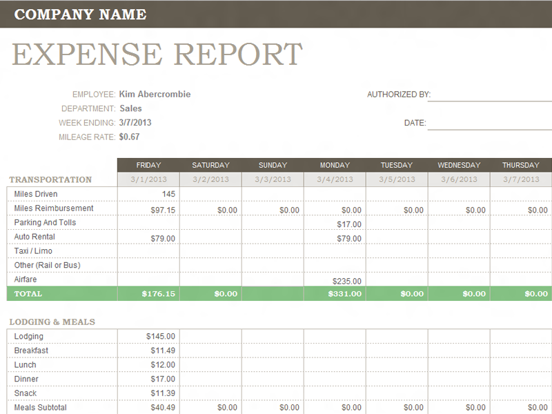 Expenditure Report Template Word Templates