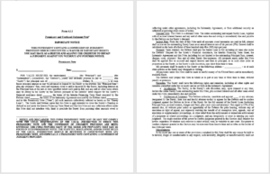 17 free Promissory Note Templates in MS Word Templates