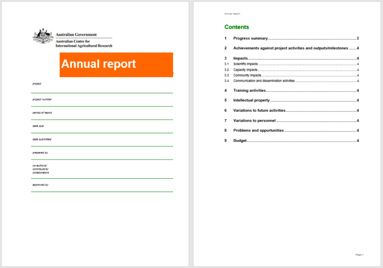 12 Free Annual Business Report Templates in MS Word Templates