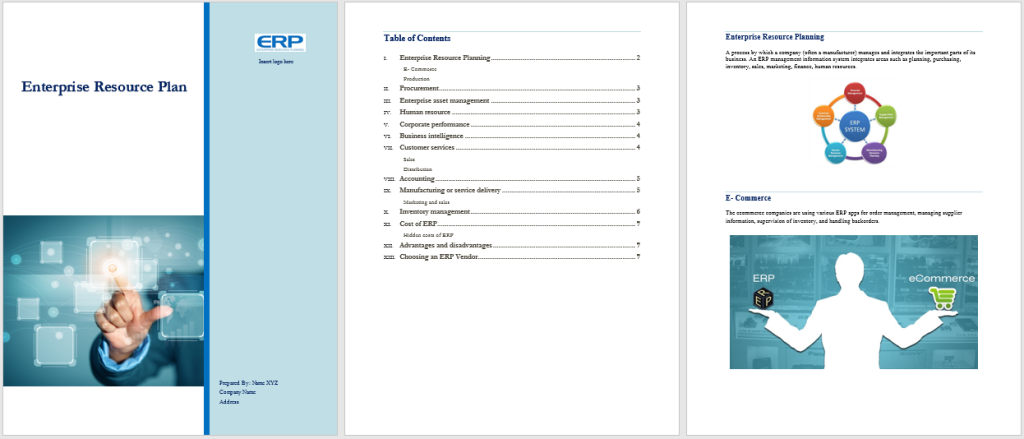 Enterprise Resource Plan Templates - Word Templates