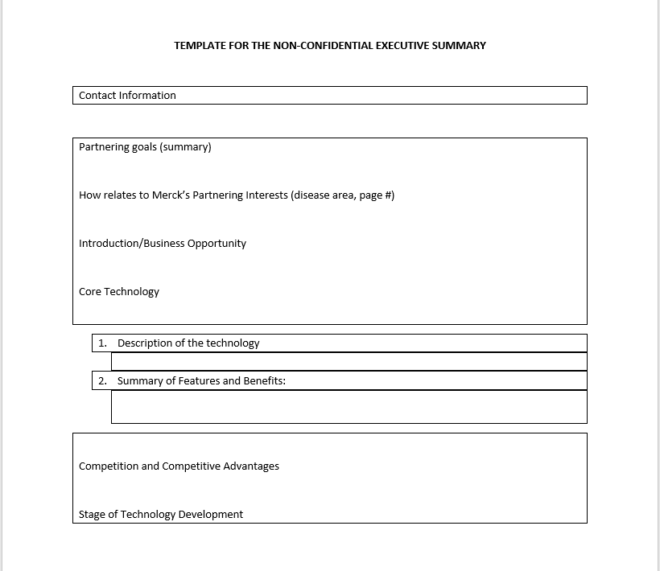 29 Free Executive Summary Templates in MS Word Format
